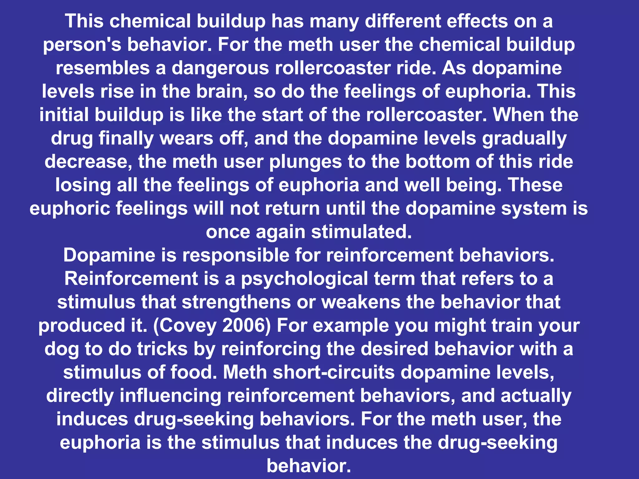 The Effects Of Methamphetamine On The Brain | PPT