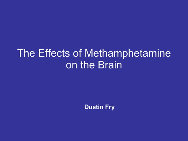 The Effects Of Methamphetamine On The Brain | PPT