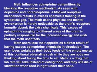 The Effects Of Methamphetamine On The Brain | PPT