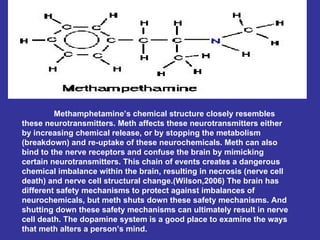 The Effects Of Methamphetamine On The Brain | PPT