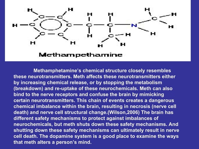 The Effects Of Methamphetamine On The Brain | PPT