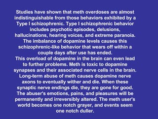 The Effects Of Methamphetamine On The Brain | PPT