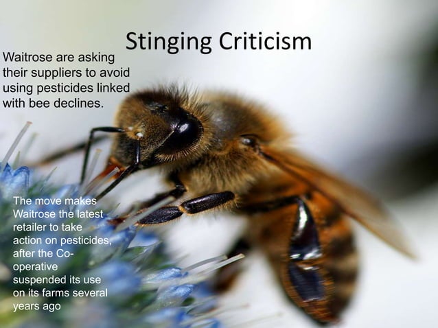 The effects of pesticides on bees | PPTX