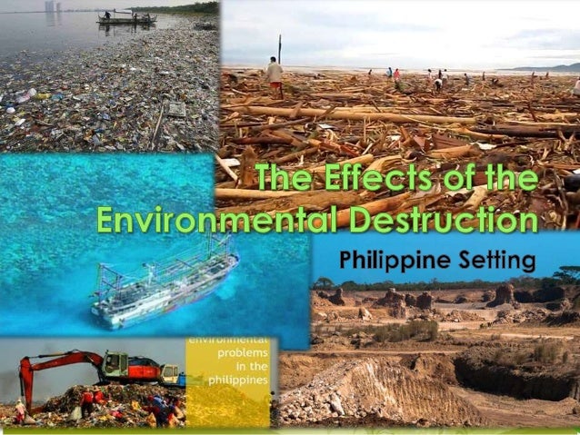 The effects of the environmental destruction