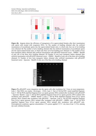 The efficiency of transgenesis by restriction enzyme mediated integration sperm mediated gene ...