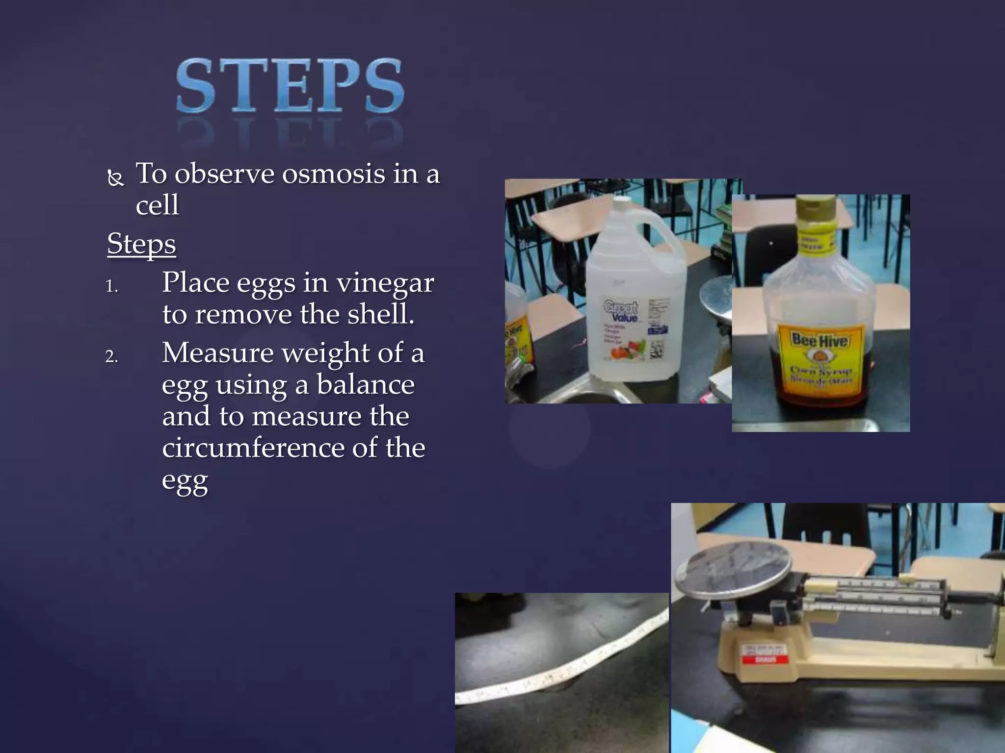 The egg osmosis experiment | PPT
