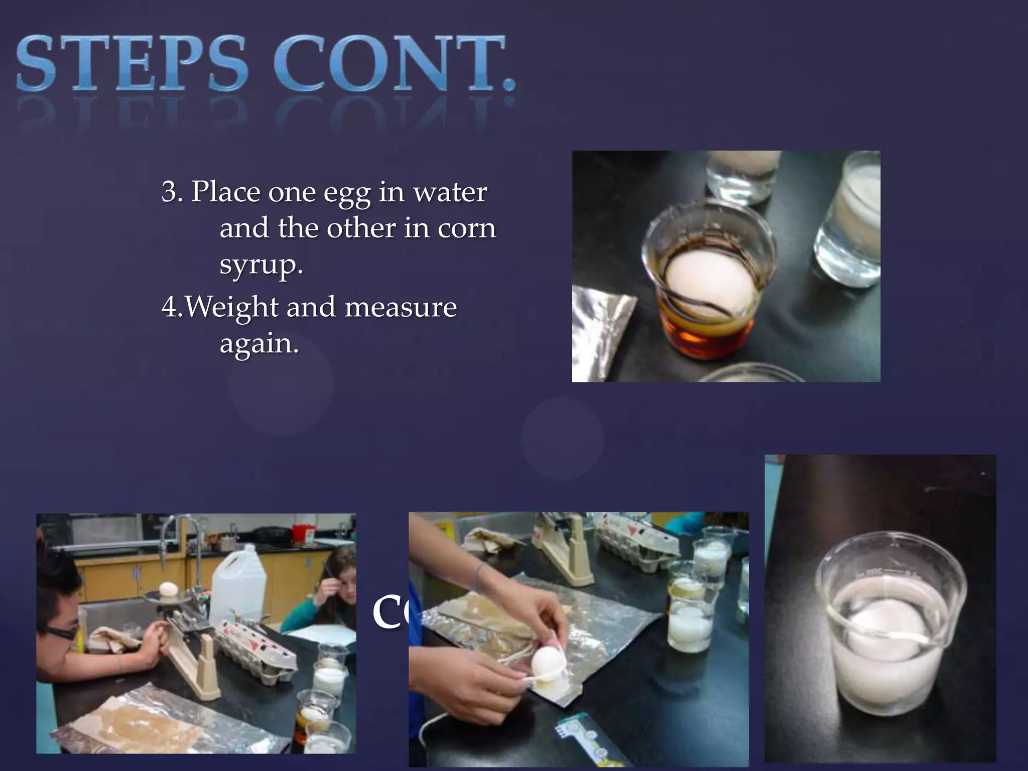The egg osmosis experiment | PPT
