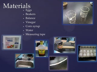 The egg osmosis experiment | PPT