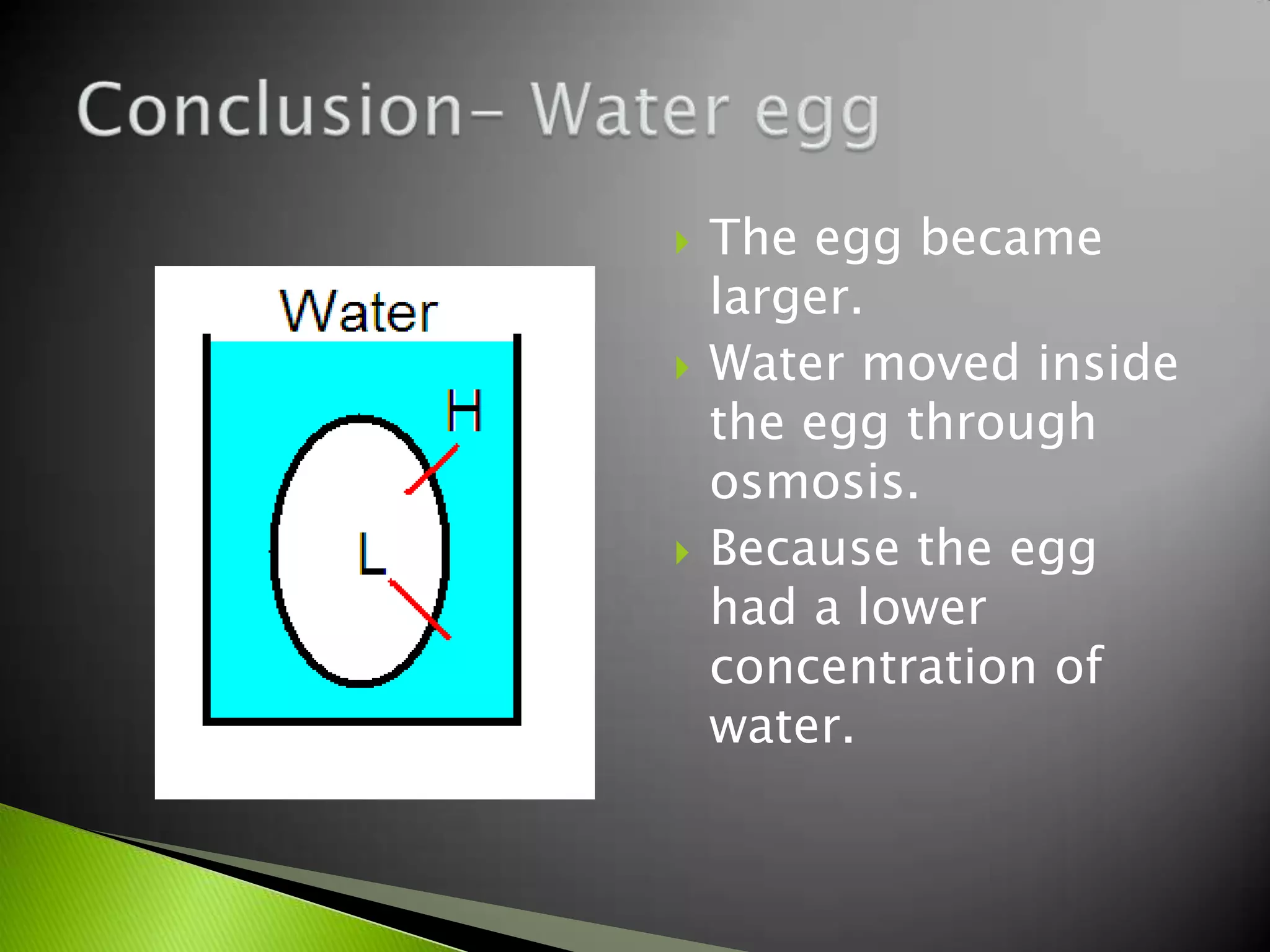 Egg Osmosis Experiment | PPTX