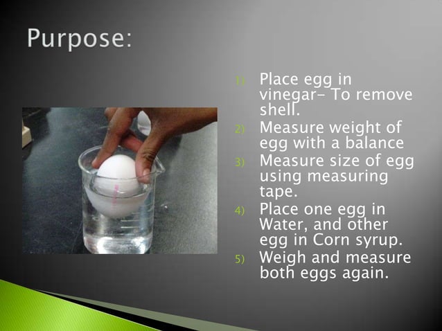 Egg Osmosis Experiment | PPTX