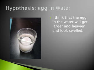 Egg Osmosis Experiment | PPTX