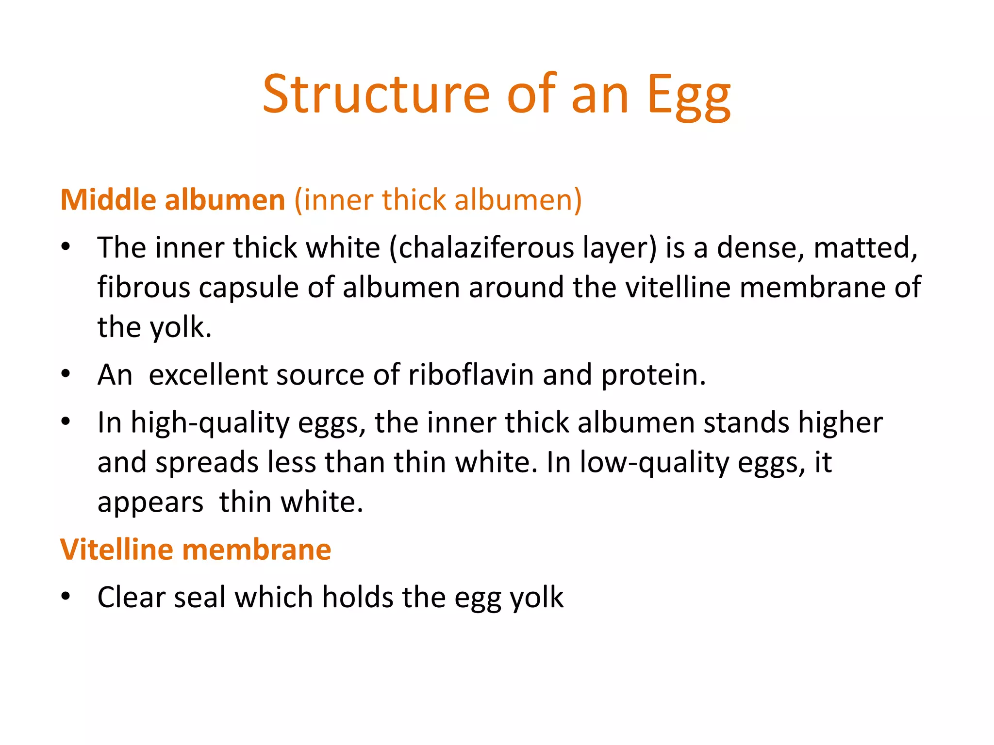The egg | PPTX