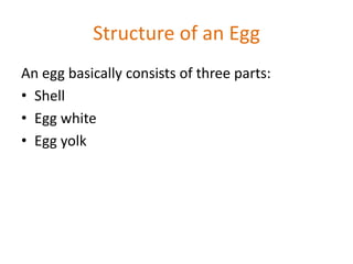 The egg | PPTX