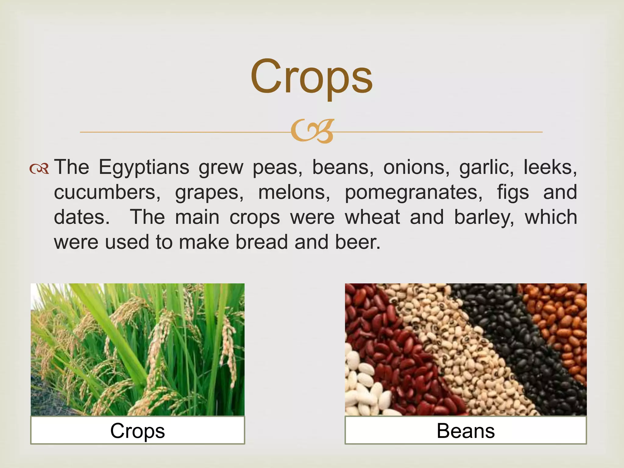The Egyptian Empire - Malena | PPTX | Agriculture | Industries