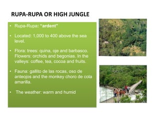 The eight natural regions of peru | PPT