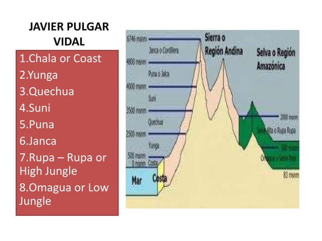 The eight natural regions of peru | PPT