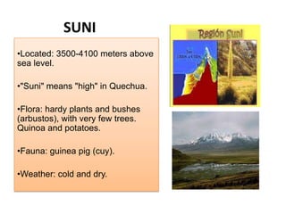 The eight natural regions of peru | PPT