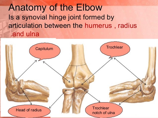 The elbow fracture