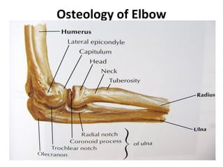 Radiology of the Elbow Joint. Dr. Sumit Sharma | PPT