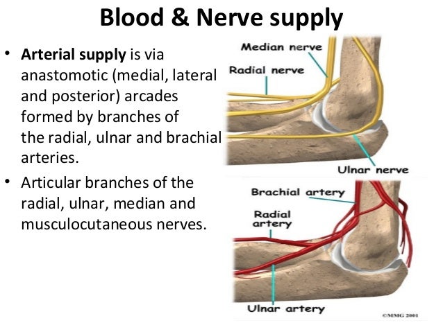 Radiology of the Elbow Joint. Dr. Sumit Sharma