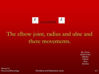 the elbow joint.ppt