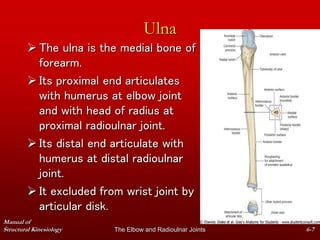 the elbow joint.ppt