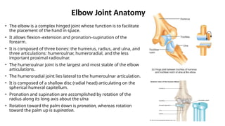 The Elbow Joint 1_a93e492f7cfcdba2d5a0fde7c8fecec5(1).pptx