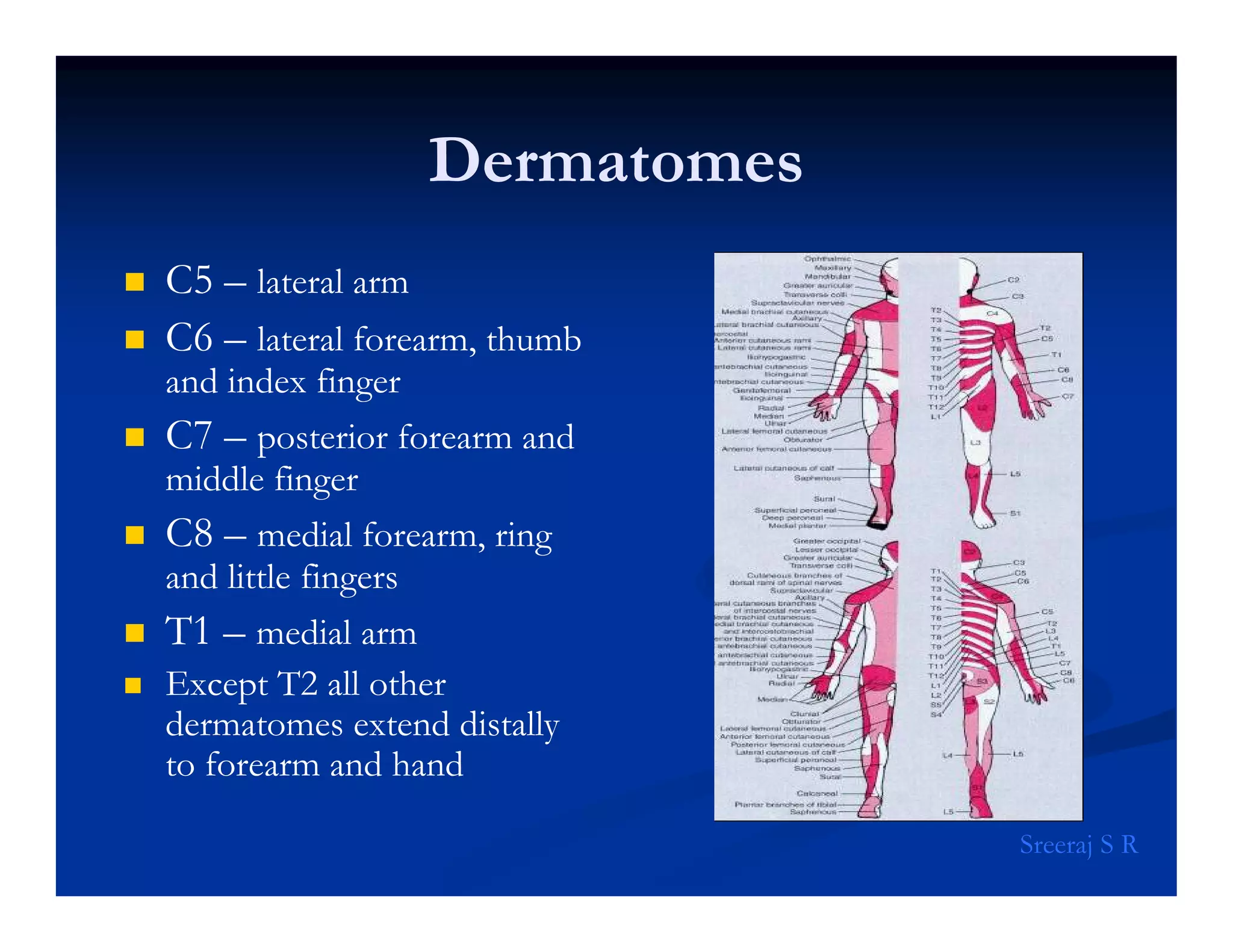The Elbow, Examination | PDF