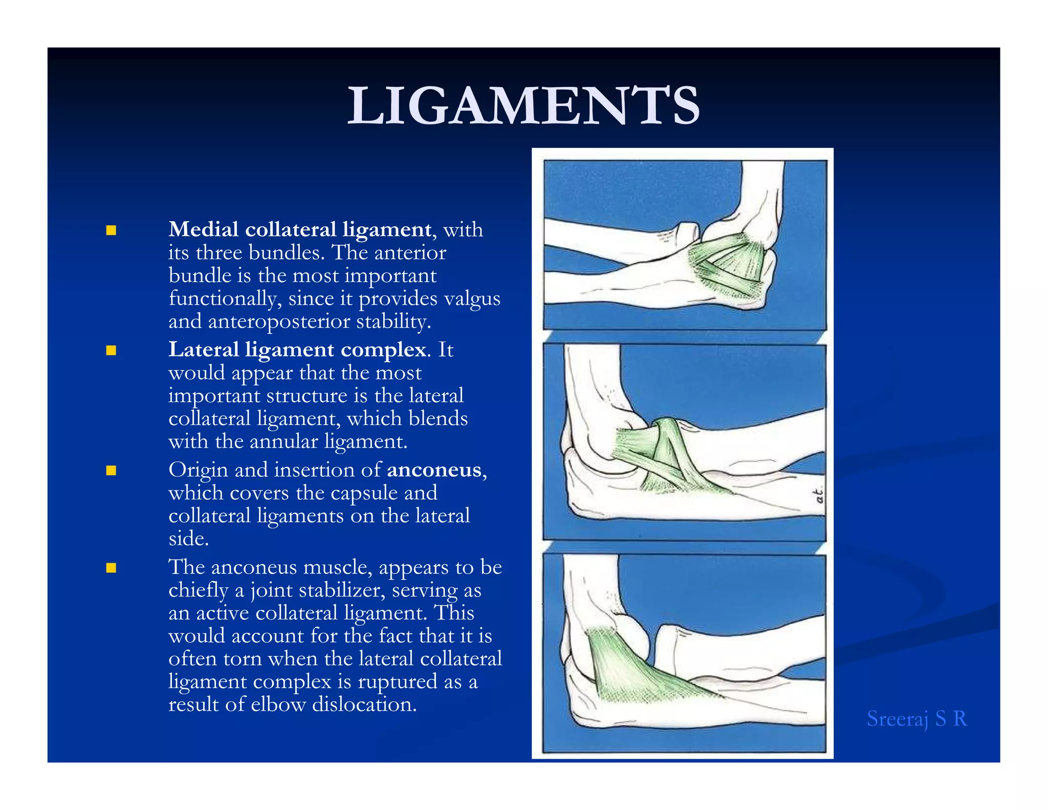 The Elbow, Examination | PDF