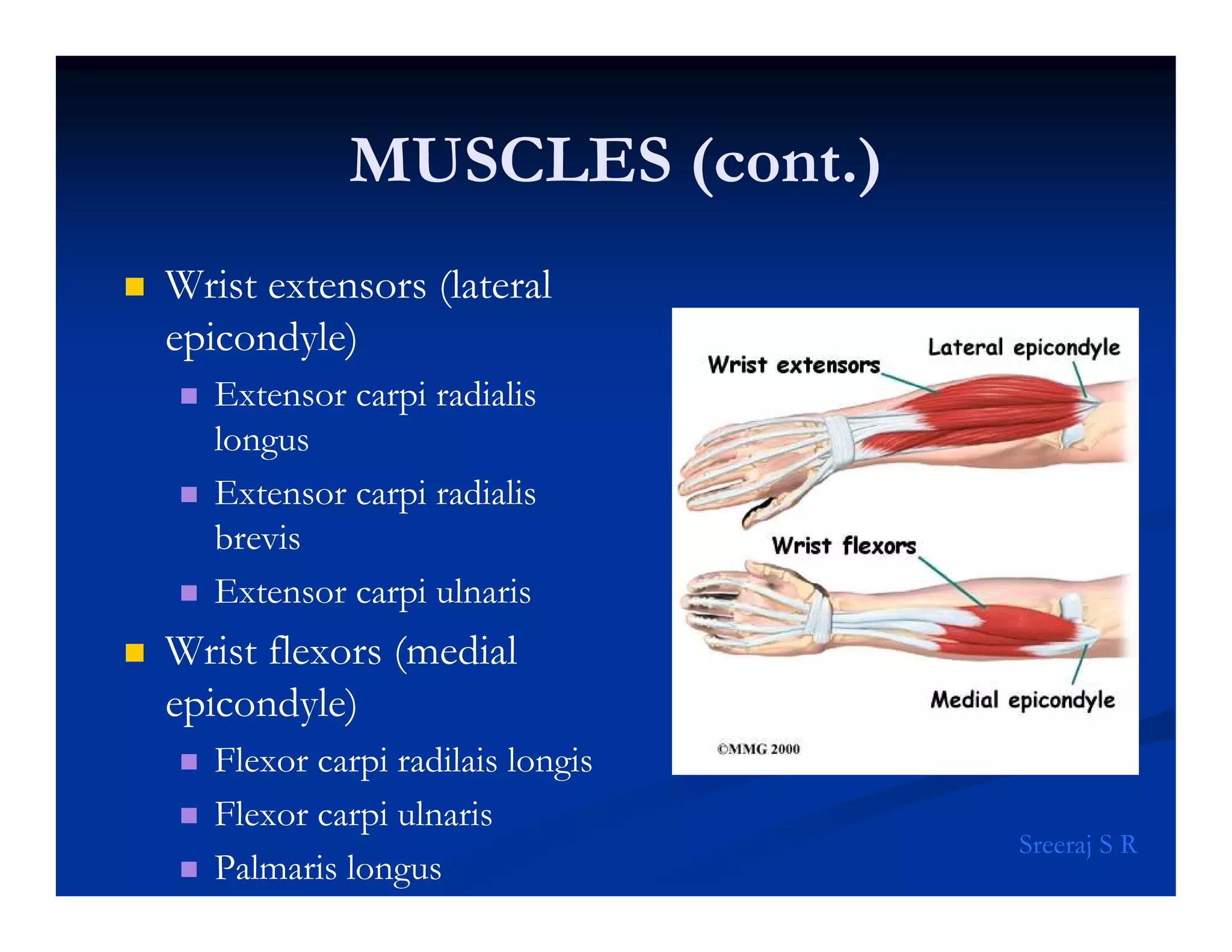 The Elbow, Examination | PDF