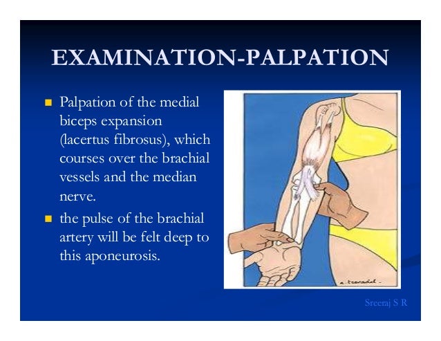 The Elbow, Examination