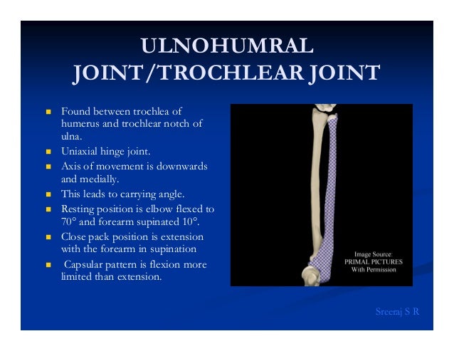 The Elbow, Examination