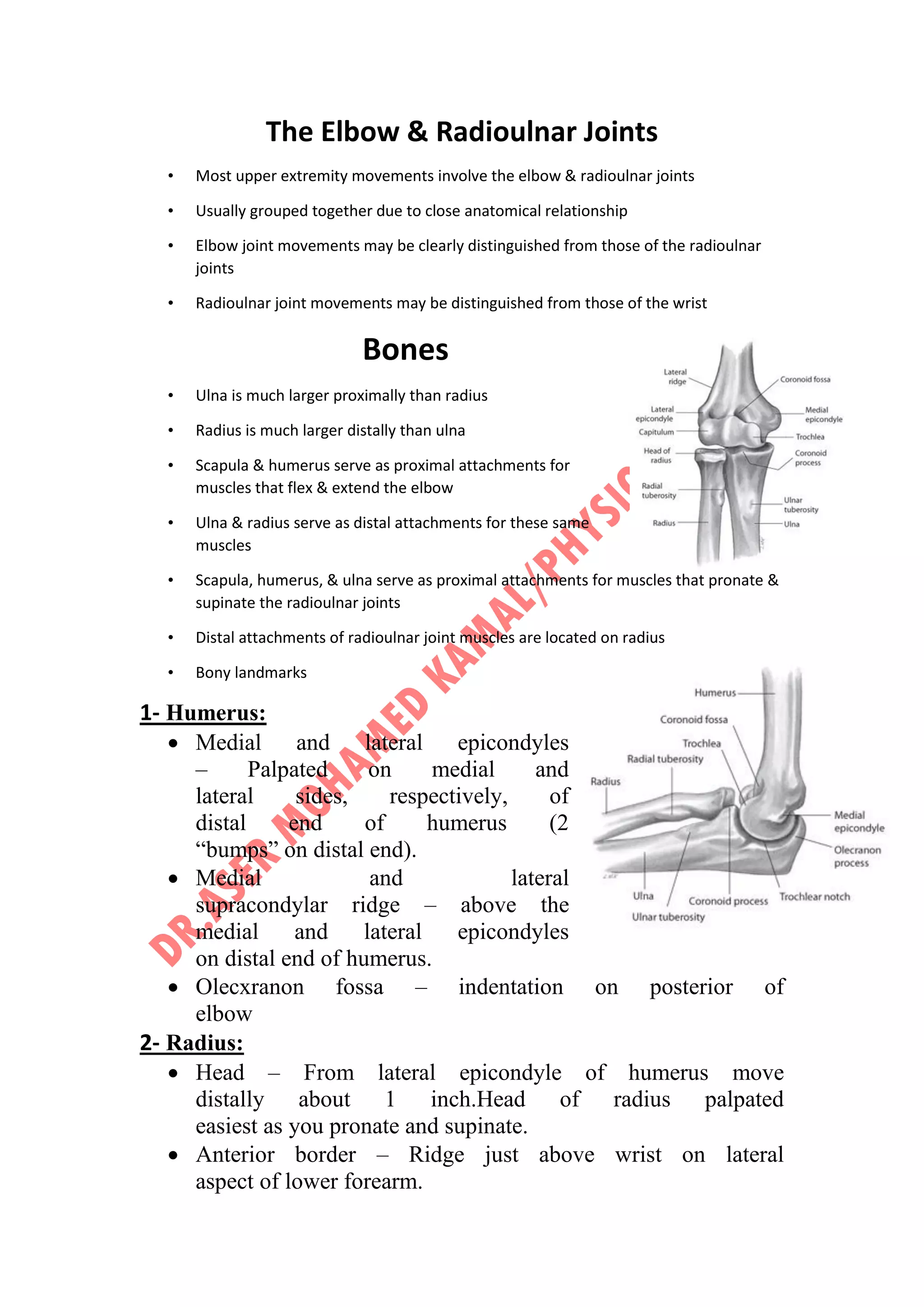The elbow &wrist joints | PDF