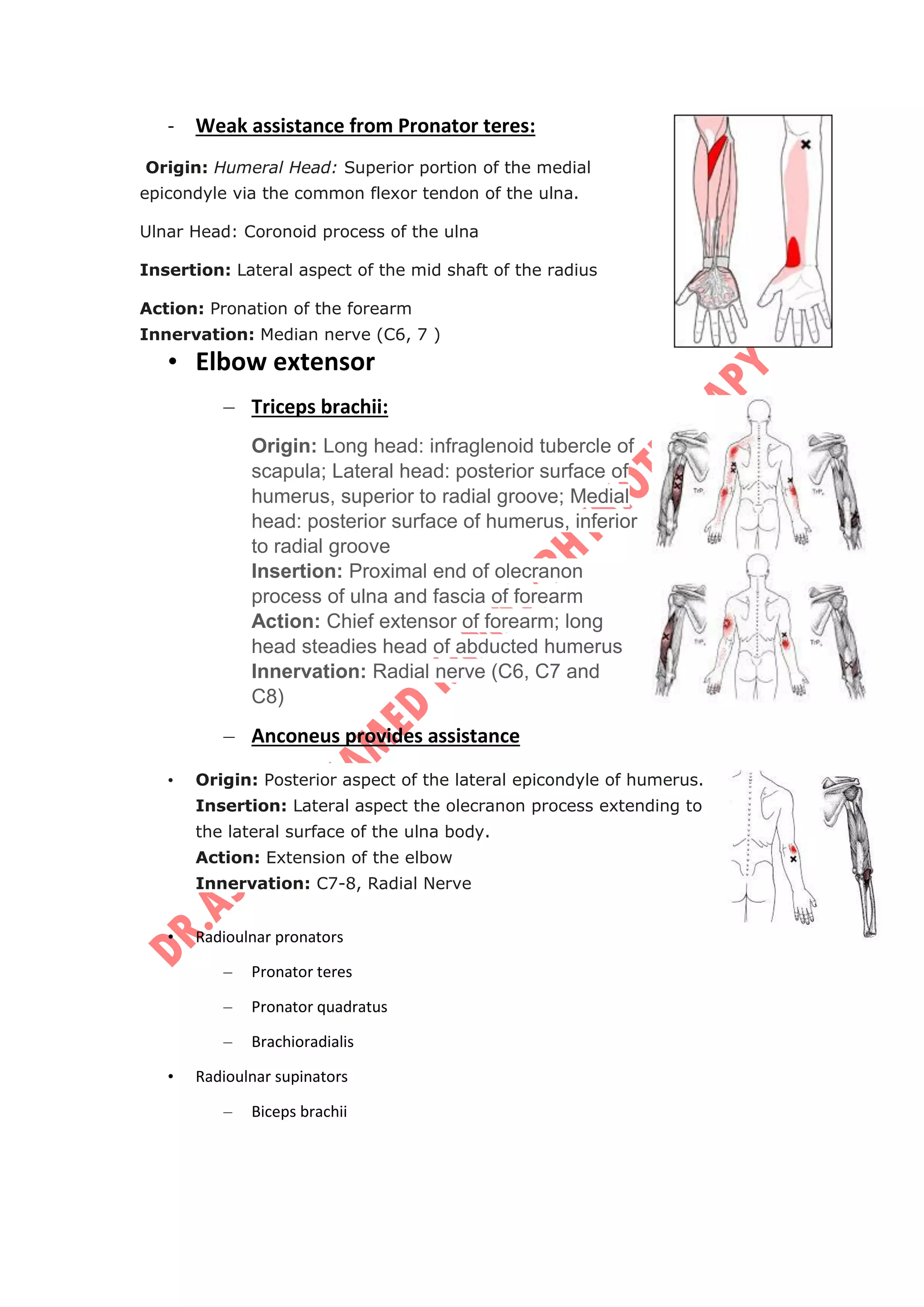 The elbow &wrist joints | PDF