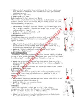 The elbow &wrist joints | PDF