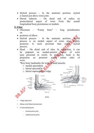 The elbow &wrist joints | PDF