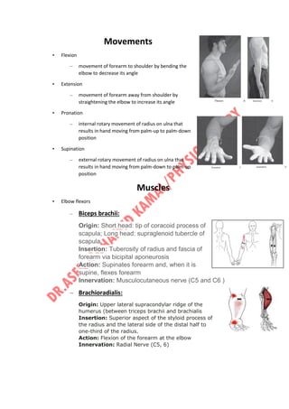 The elbow &wrist joints | PDF