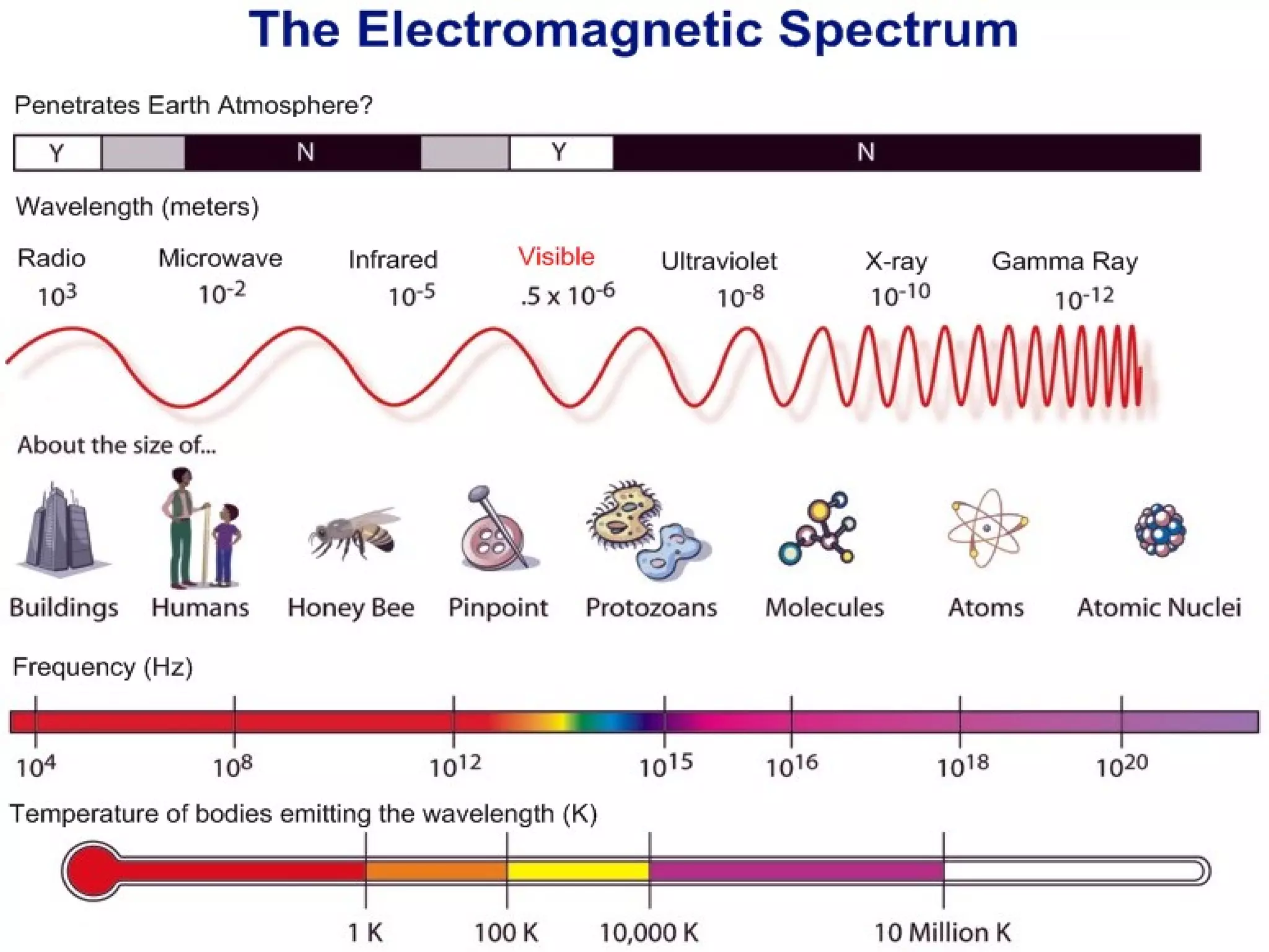 The Electromagnetic Spectrum | PPT