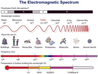 Electromagnetic Spectrum Drawing For Kids