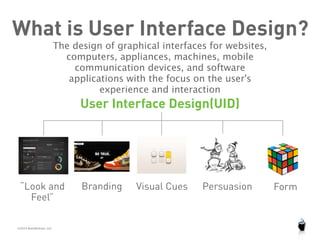 The Elements of User Experience | PDF