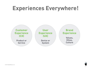 The Elements of User Experience | PDF