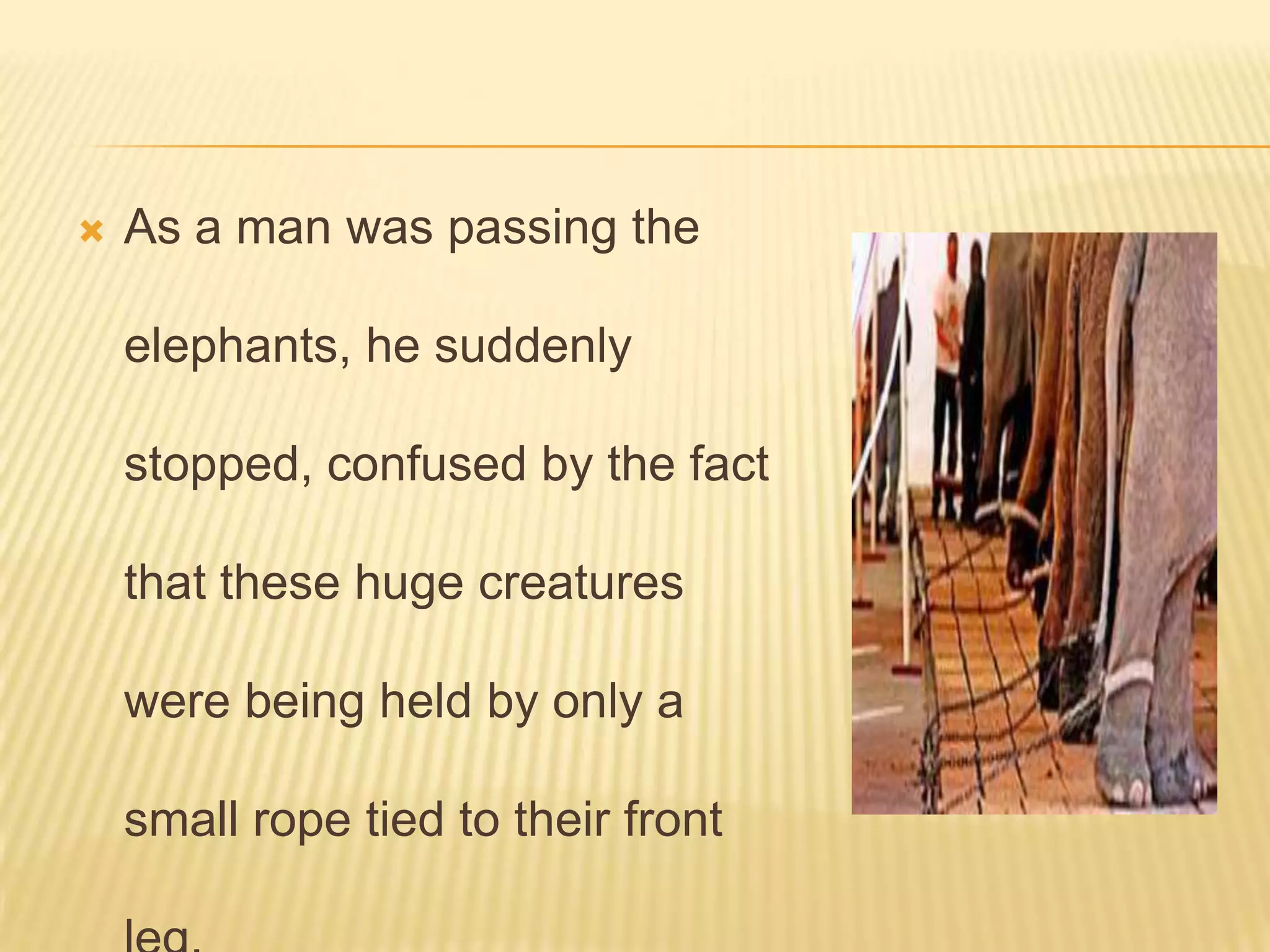 The Elephant Rope | PPTX