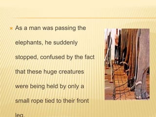 The Elephant Rope | PPTX