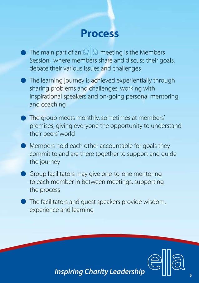 The Ella Foundation | PDF | Non-Profit Organizations | Industries