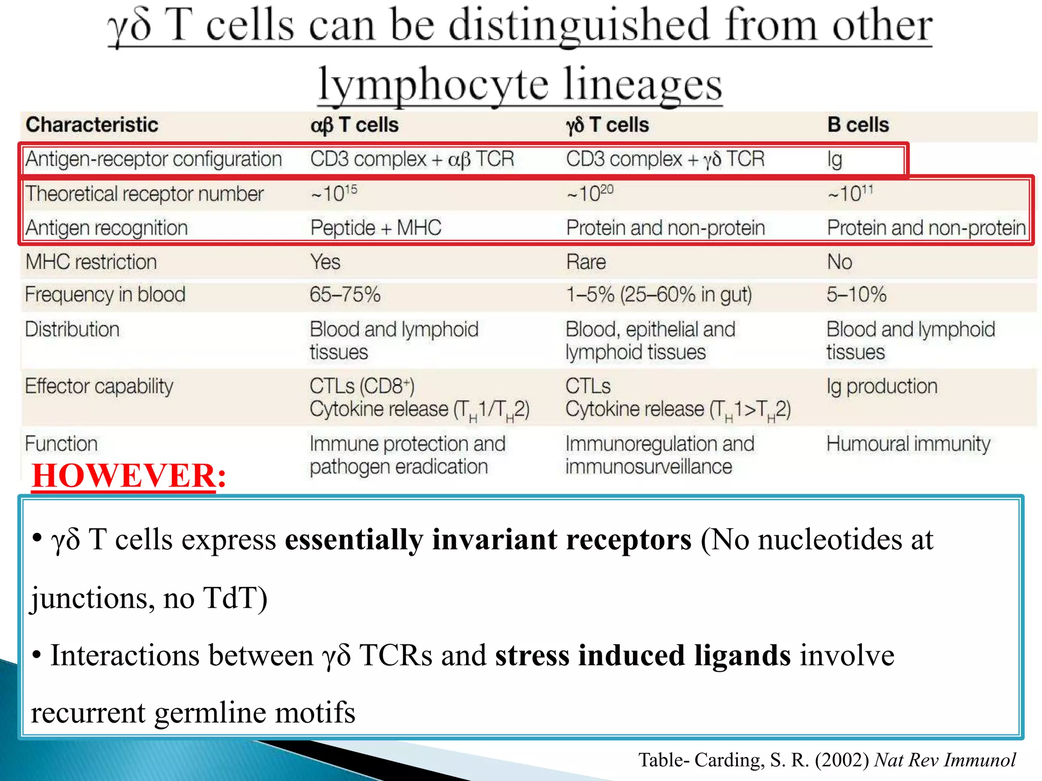 The elusive role of γδ t cells | PPTX