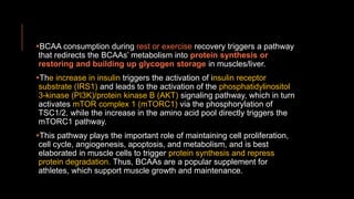 The Emerging Role of Branched-Chain Amino Acids in-1.pptx