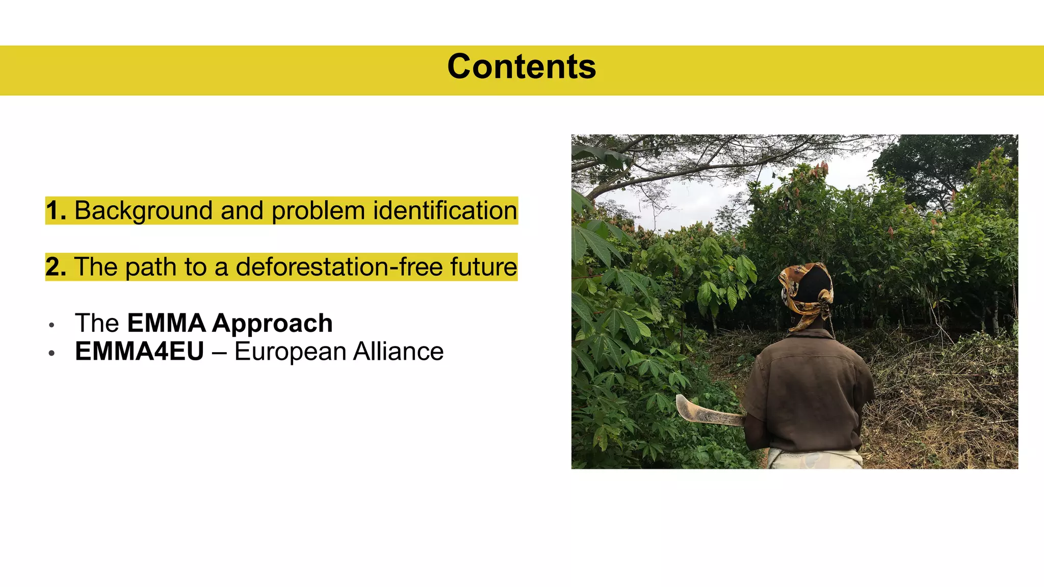 The EMMA method for supply chains | Navigating the new deforestation ...