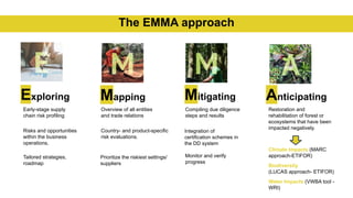 The EMMA method for supply chains | Navigating the new deforestation ...