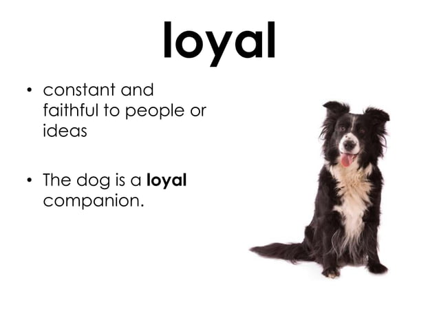 The emperor and the kite | PPT