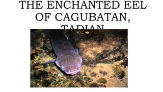 THE ENCHANTED EEL OF CAGUBATAN, TADIAN.pptx